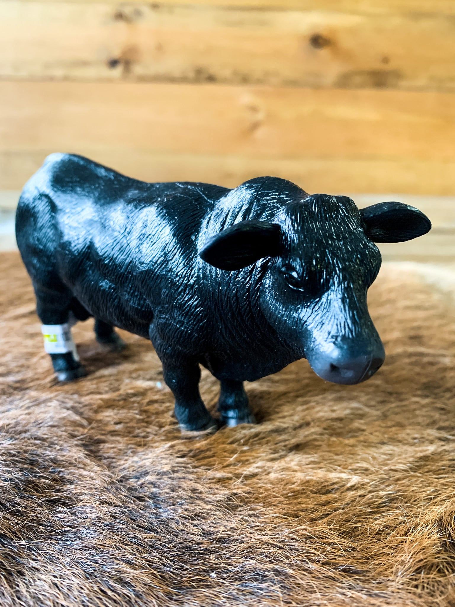 Black Angus Bull | Ranch-Land Western Store