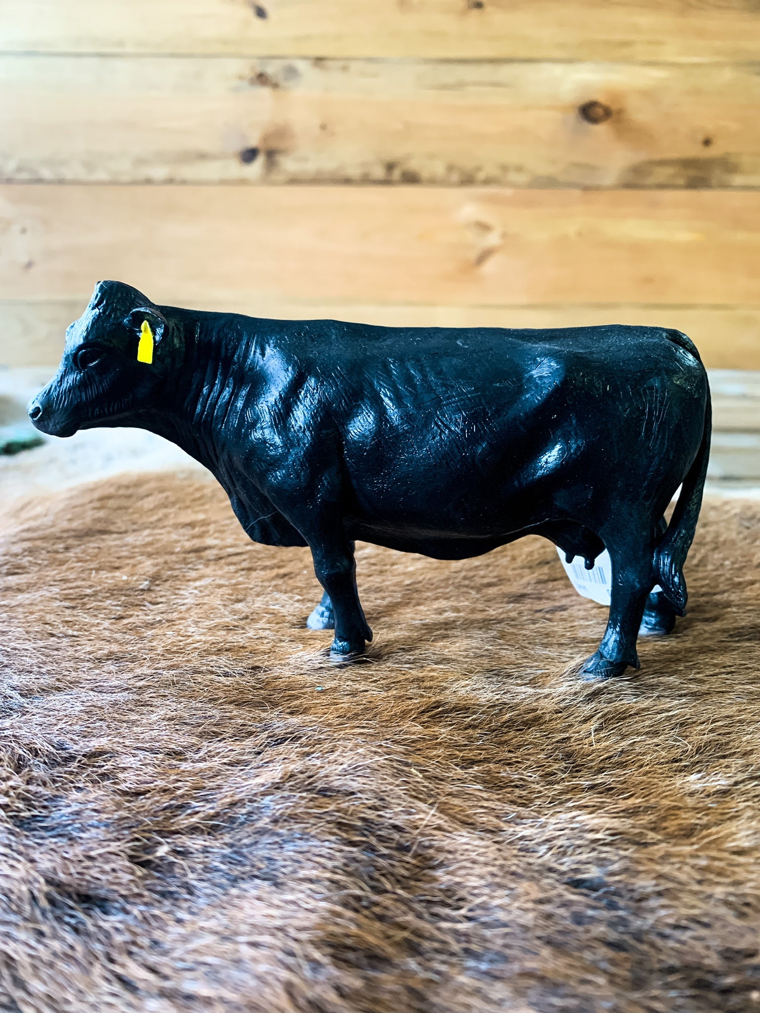 Black Angus Cow | Ranch-Land Western Store
