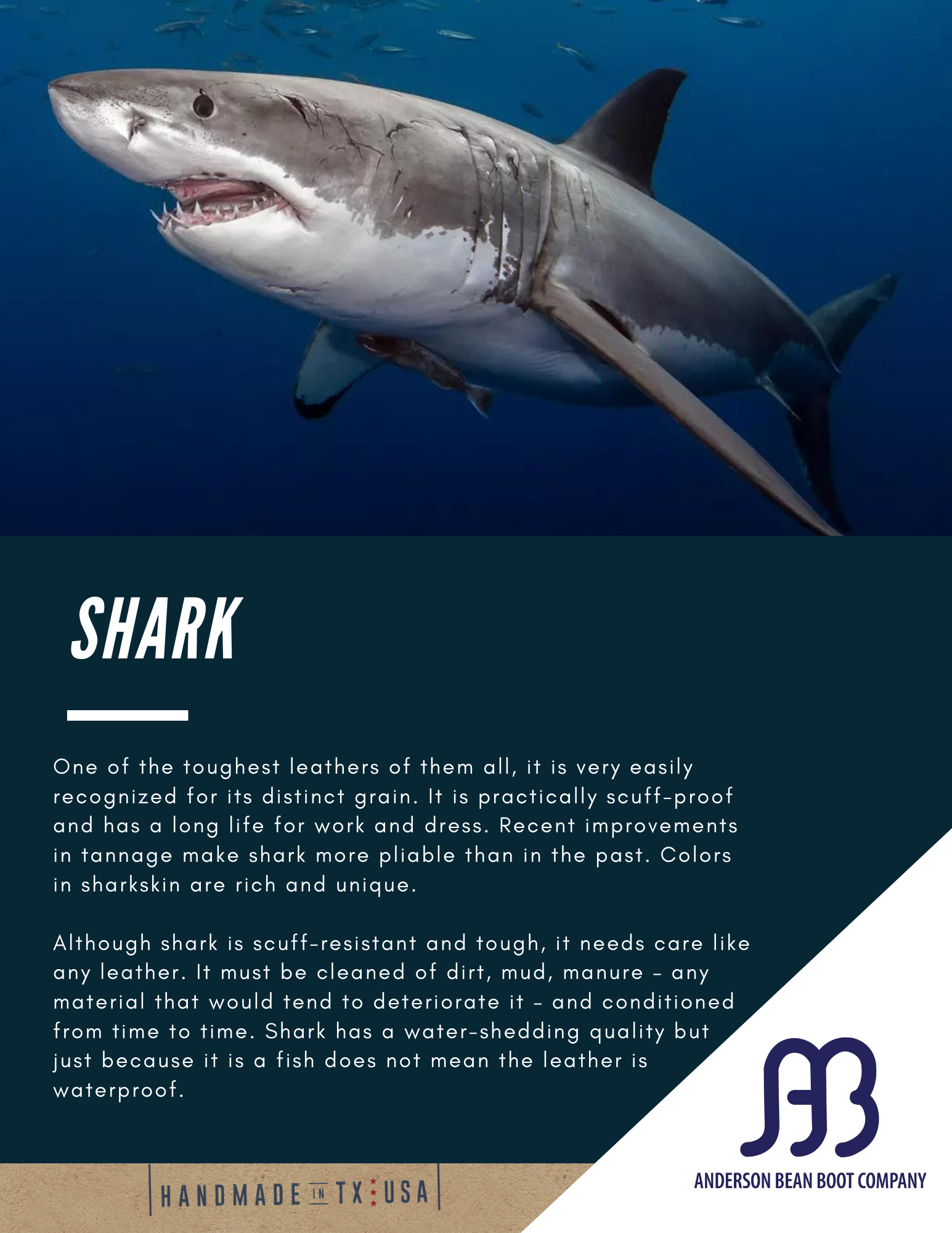 Anderson Bean Black Oiled Shark Square Toe Boots | Ranch-Land Western Store