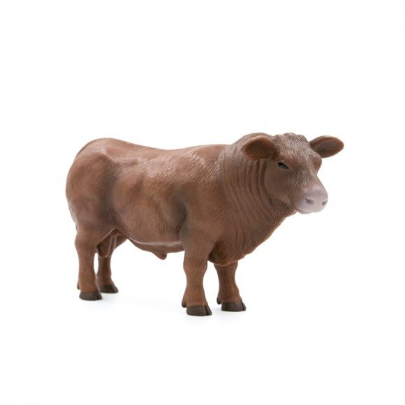Red Angus Bull | Ranch-Land Western Store